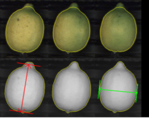 Ellips_ - Found Four